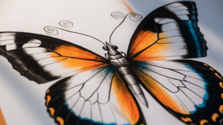 Simple Butterfly Drawing: Easy Step-by-Step Guide - TheMasterCraft