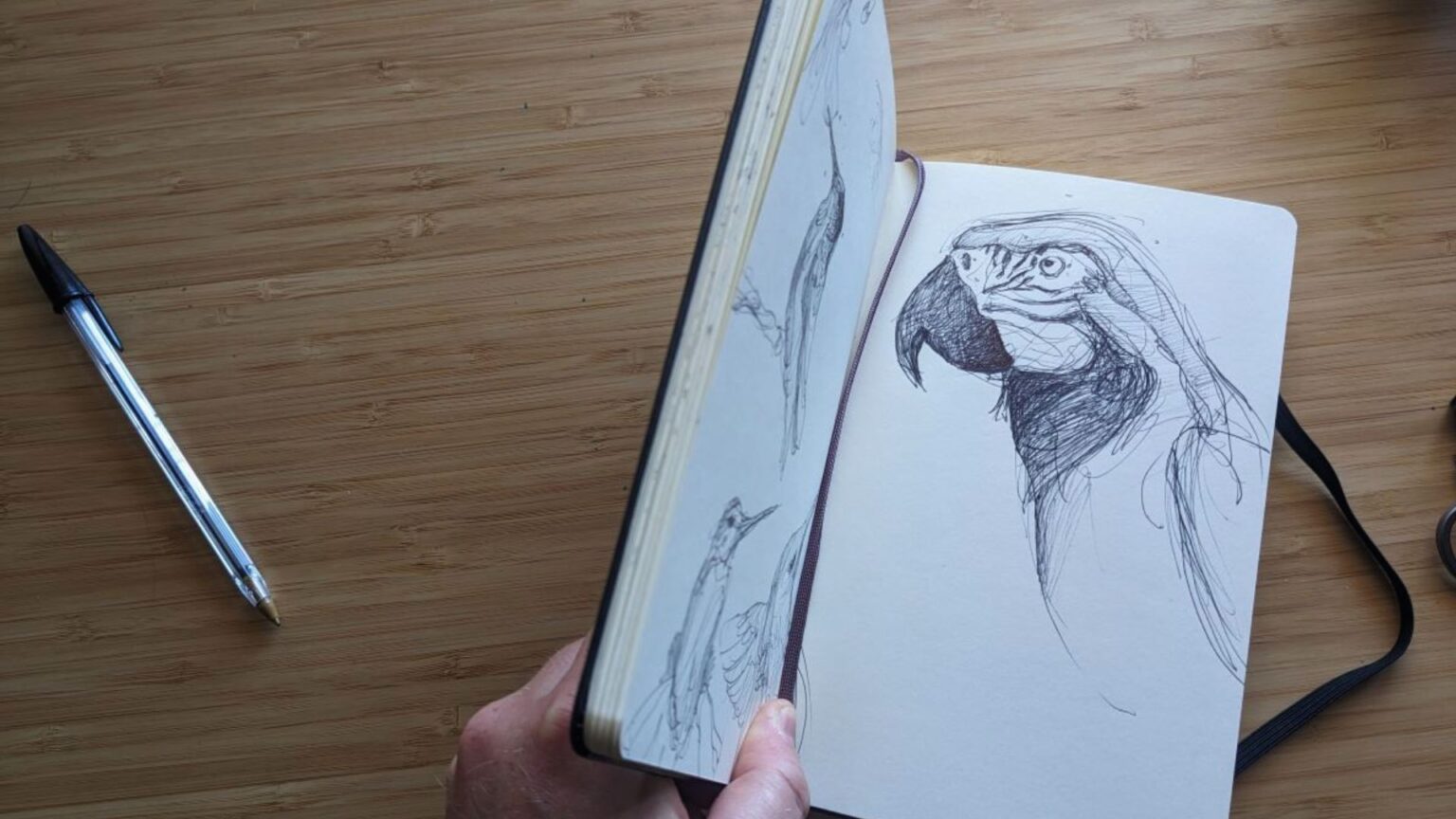 80+ Drawing Outline Ideas to Fill Your Sketchbook Fast - TheMasterCraft